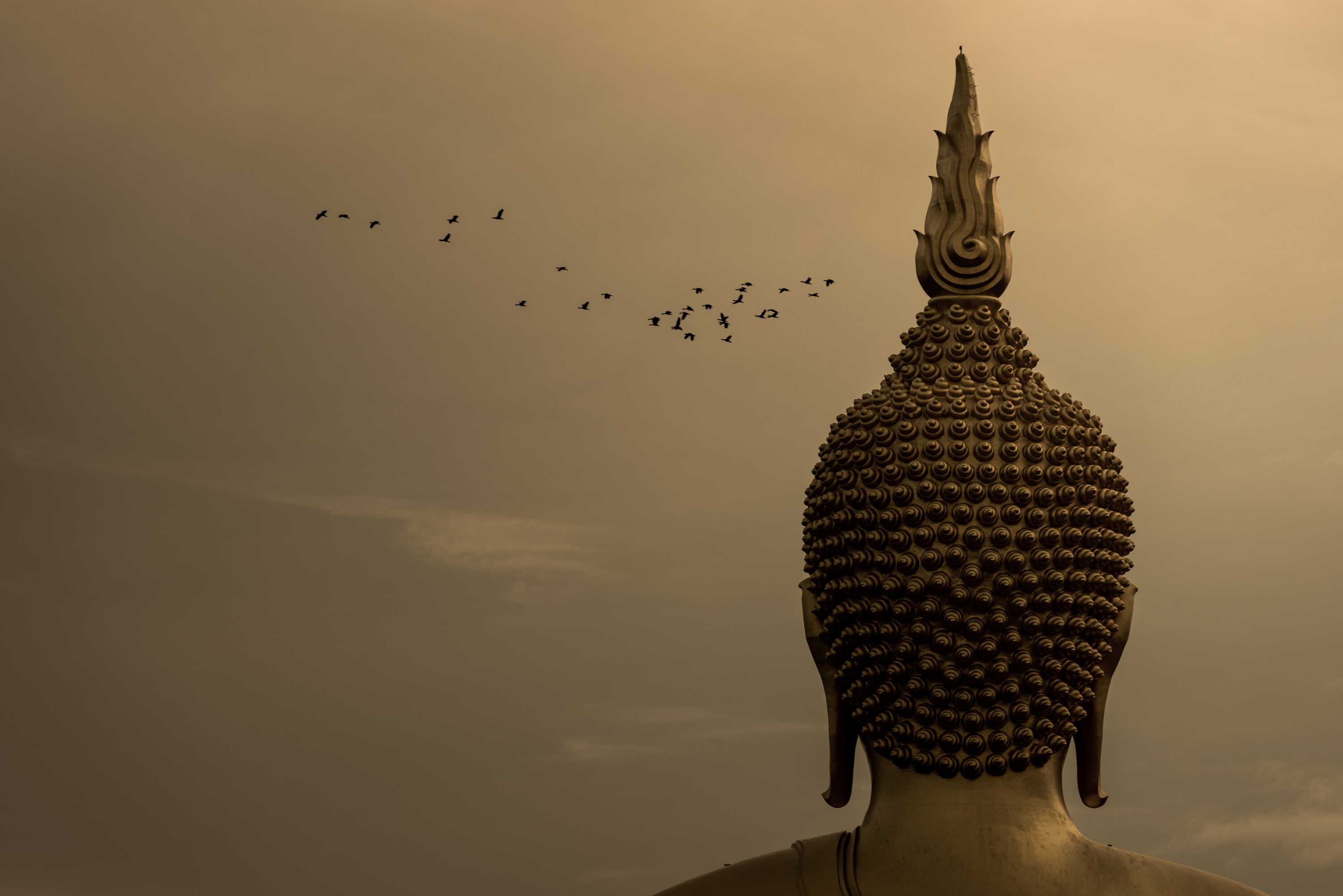 Religious Beliefs And Animals