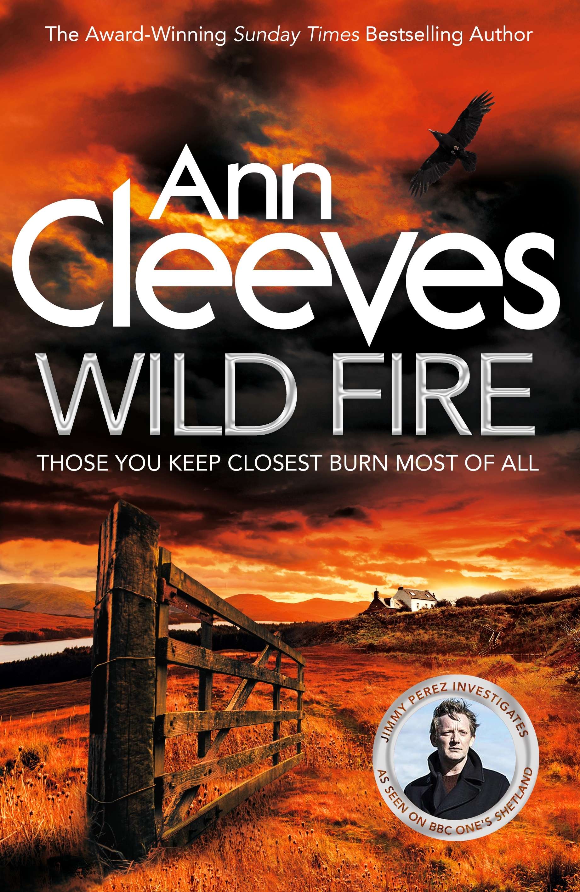 On crime writer Ann Cleeves, Laura Elizabeth Woollett's Beautiful ...
