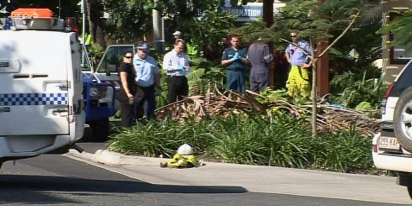 Authorities examine tree that killed boy - ABC News