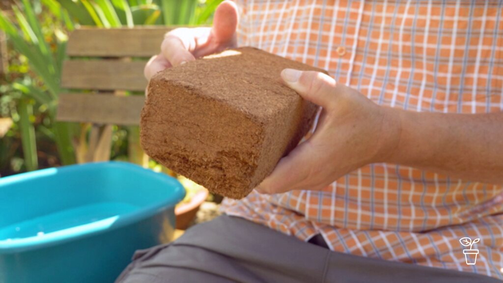Preparing Coir Bricks - Gardening Australia