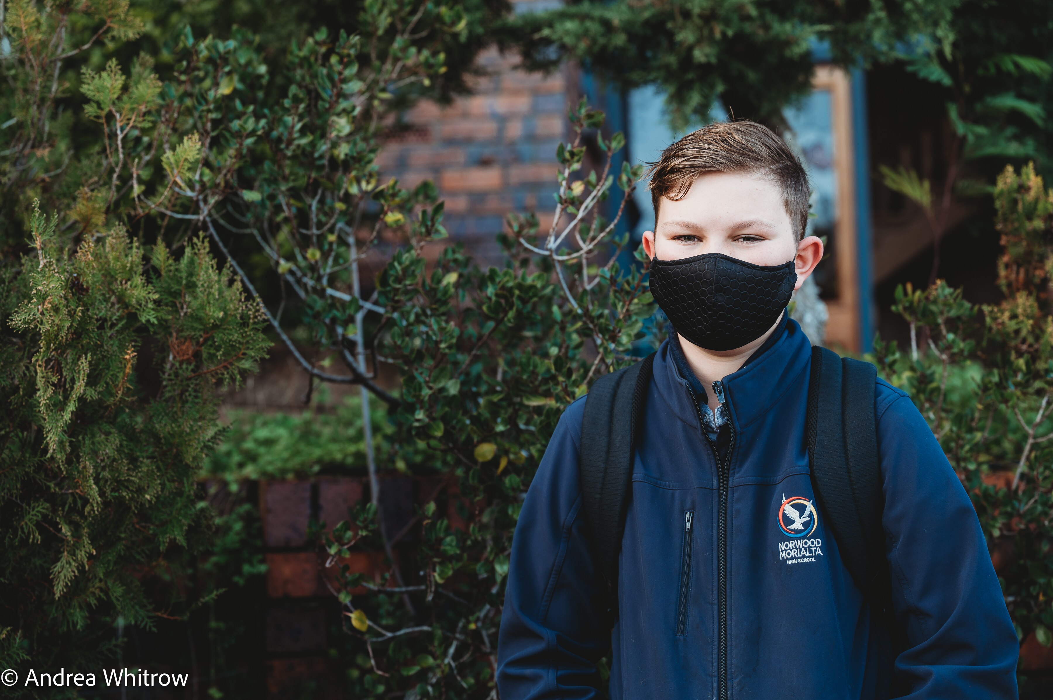 'Don't be a Gladys Kravitz' and snitch, says SA Premier, as mask ...