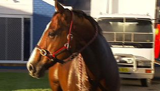 Takeover Target set for turf history - ABC News