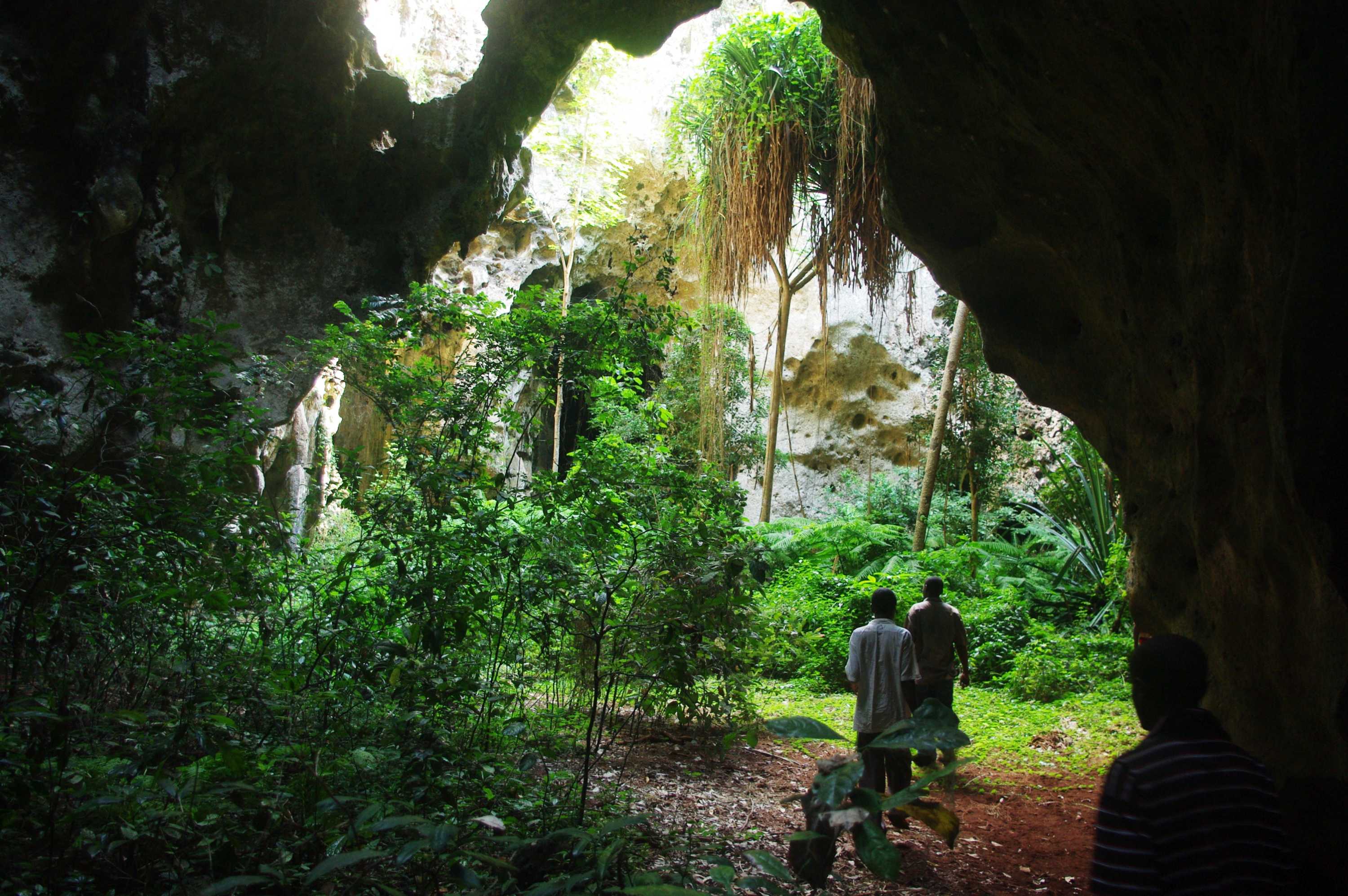 Ancient cave reveals secrets of technological innovation in the Stone ...