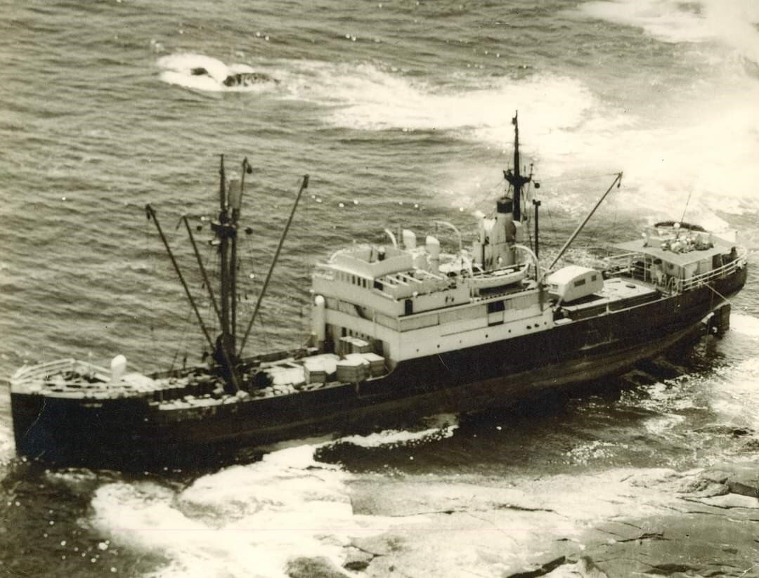 South Australia WWII shipwreck of Yandra cargo vessel visited by diver ...