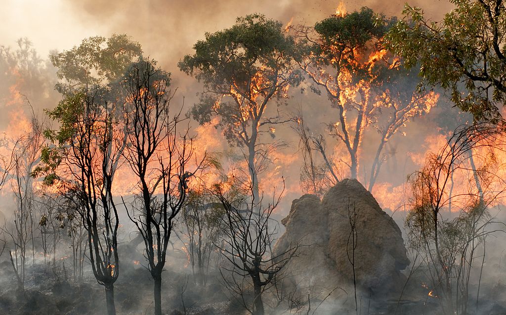 Aboriginal monsters and their meaning - ABC Radio National