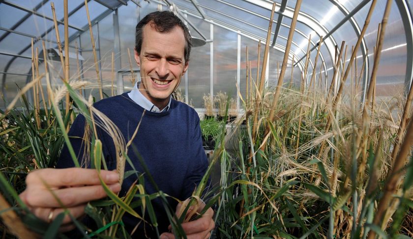 Bigger farm yields: Are they making Aussies fat? - ABC News