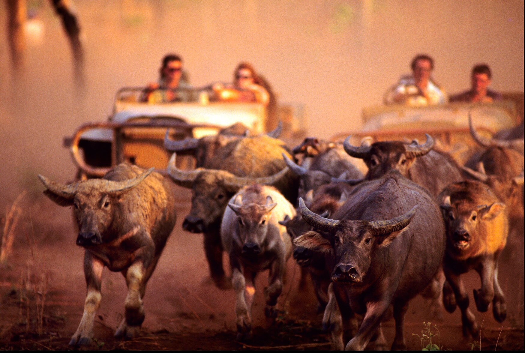Photographer David Hancock's 30-year journey documenting Australia's ...