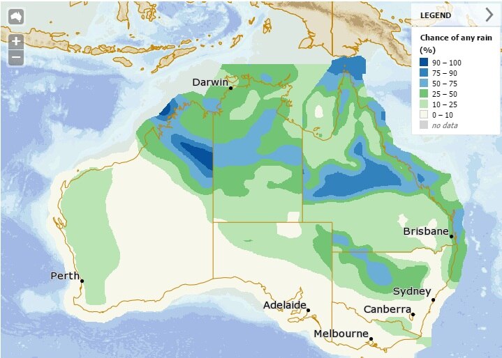 Kimberley pastoralists welcome wet season rains - ABC News