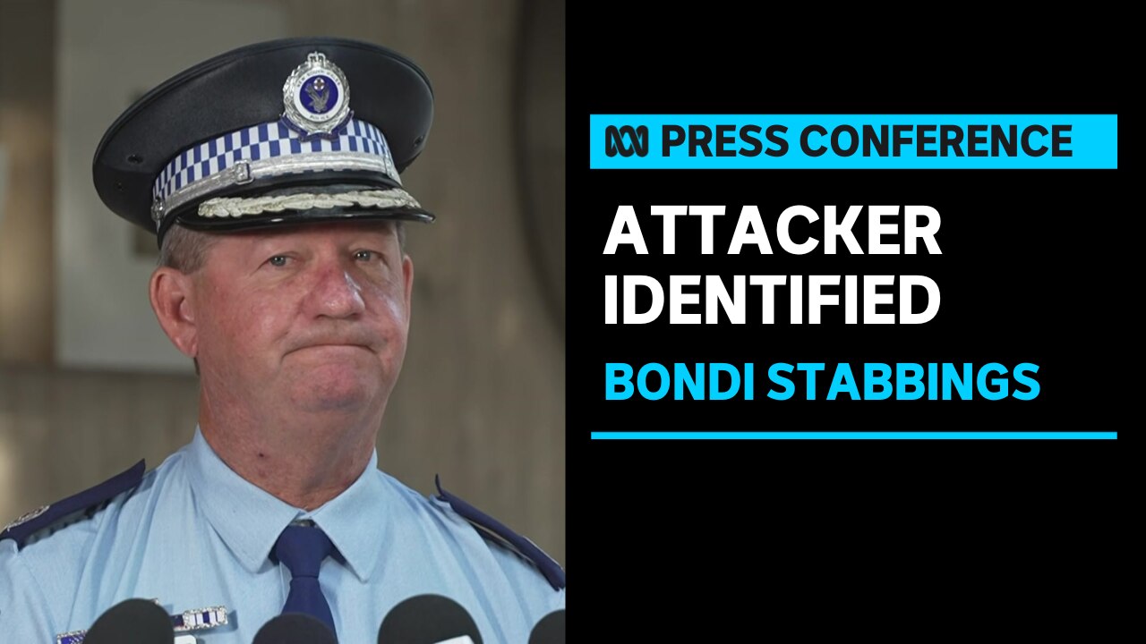 Australian tourist Bodhi Risby-Jones appears in jumpsuit and balaclava ...