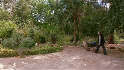 Autumn Jobs - Gardening Australia