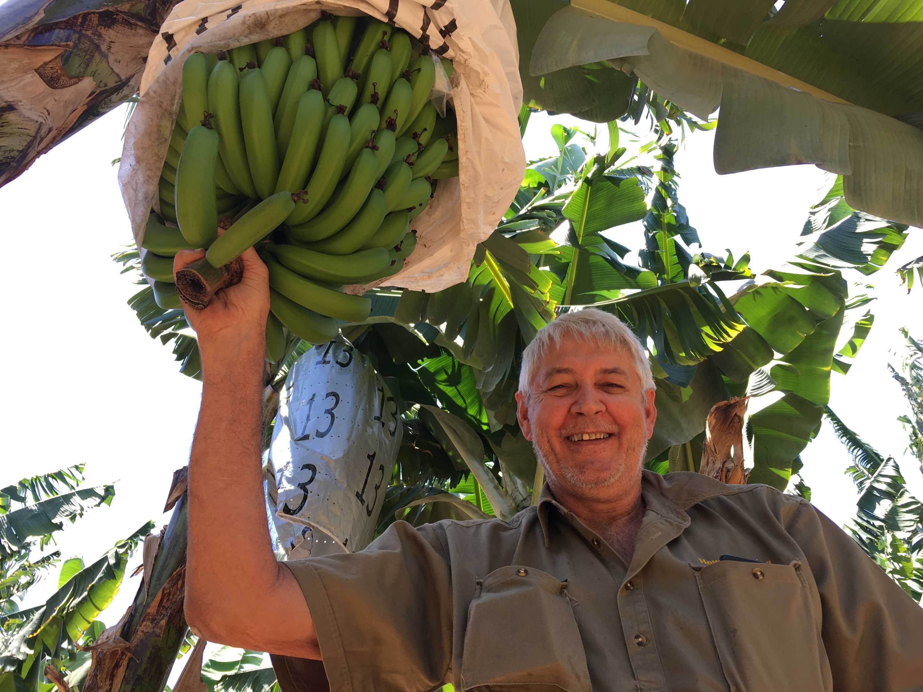 'Farming legend' Dennis Howe humbled by inaugural ABC award - ABC News