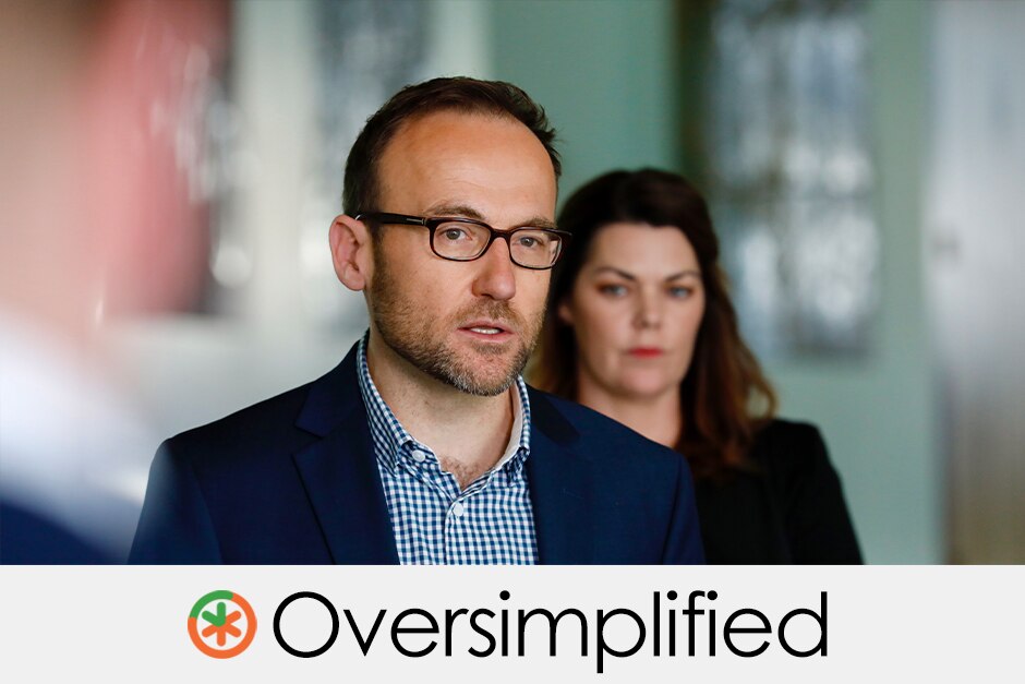 Adam Bandt says gas is just as dirty as coal. Is he correct? - ABC News