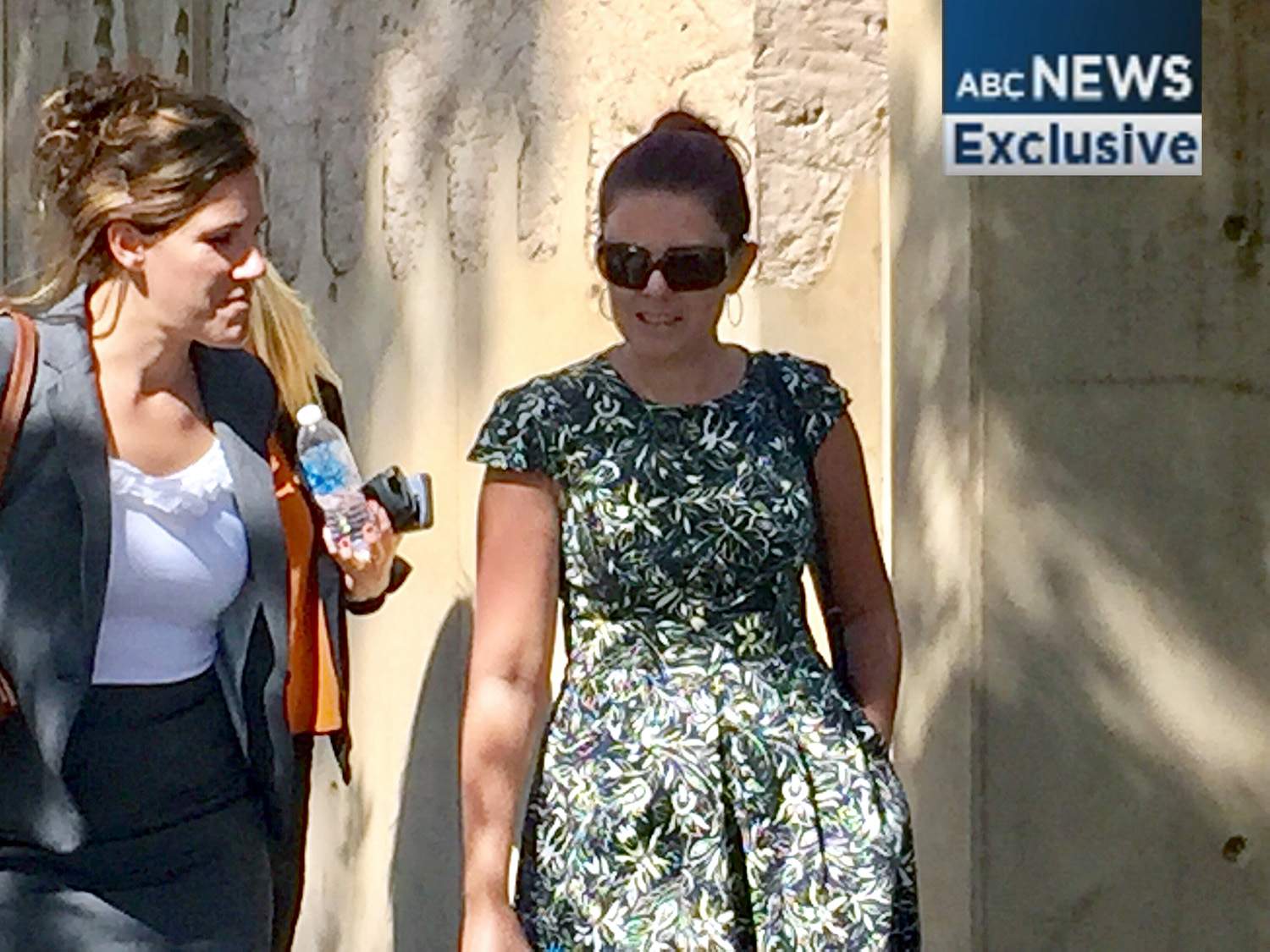 Horse charity founder Amanda Vella charged with stealing, fraud - ABC News