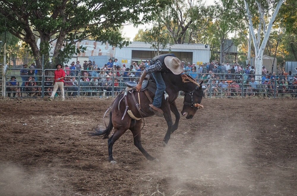 Dare devil trick riding wows crowd at remote Fitzroy Crossing Rodeo ...