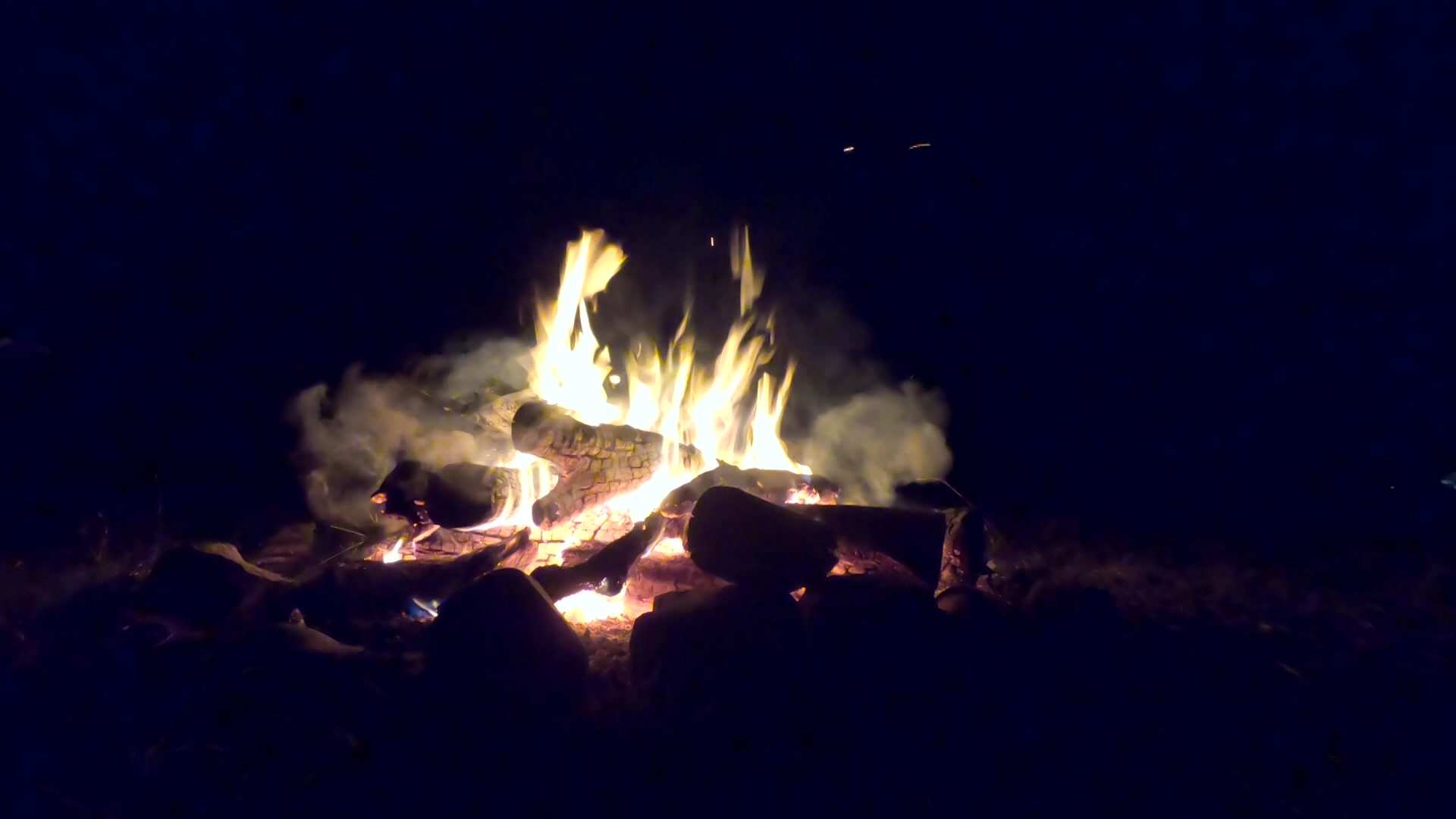 How Russell Hill, Carol Clay, Niels Becker and Conrad Whitlock went ...