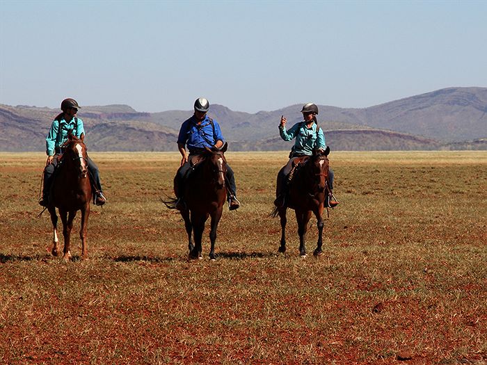 A long way from home - ABC News