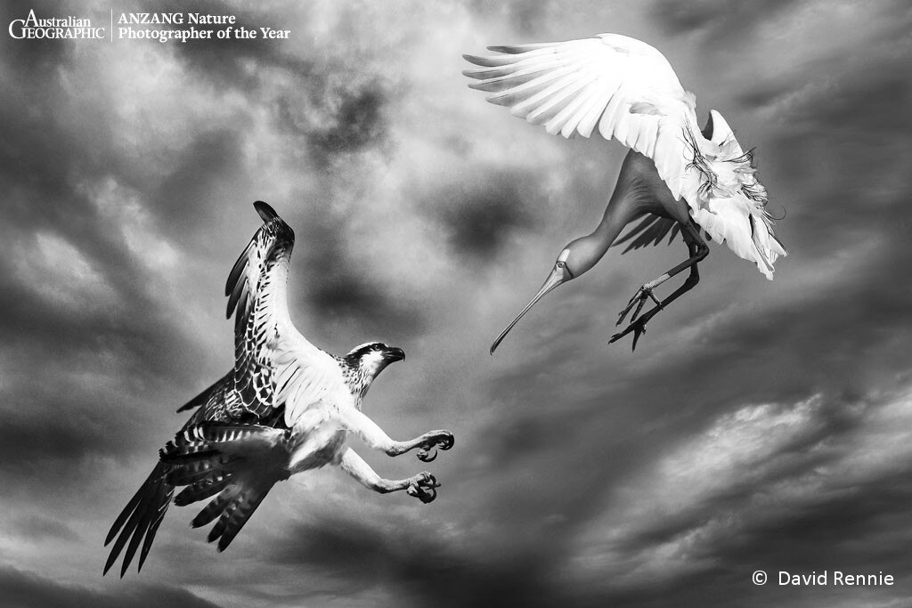 Australian Story: David Rennie tames his demons with photography - ABC News