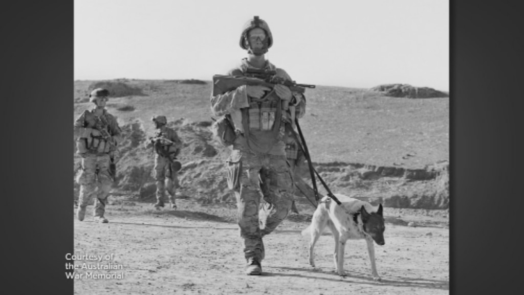 Sparky the retired explosives dog joins Ulverstone Anzac Day marchers ...