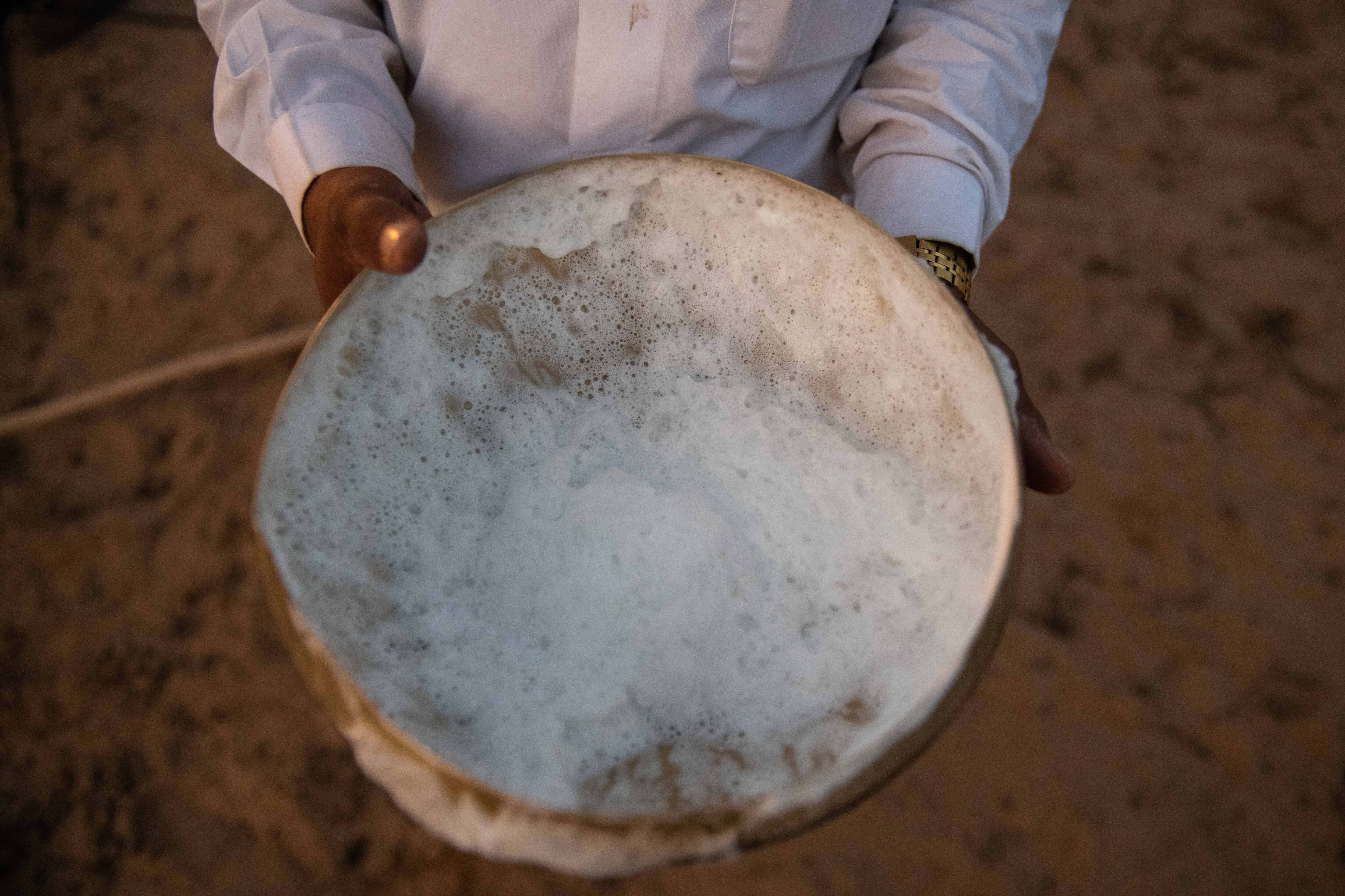 India's nomadic camel tribes are risking the wrath of God to save their ...