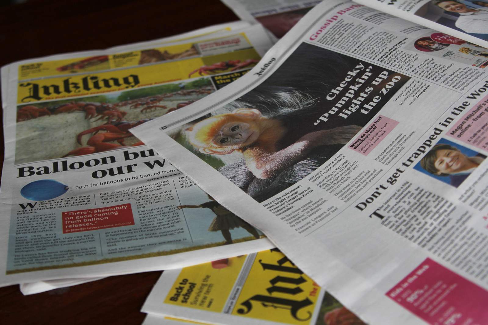 Inkling: Australia's first national kids newspaper without 'the gore ...