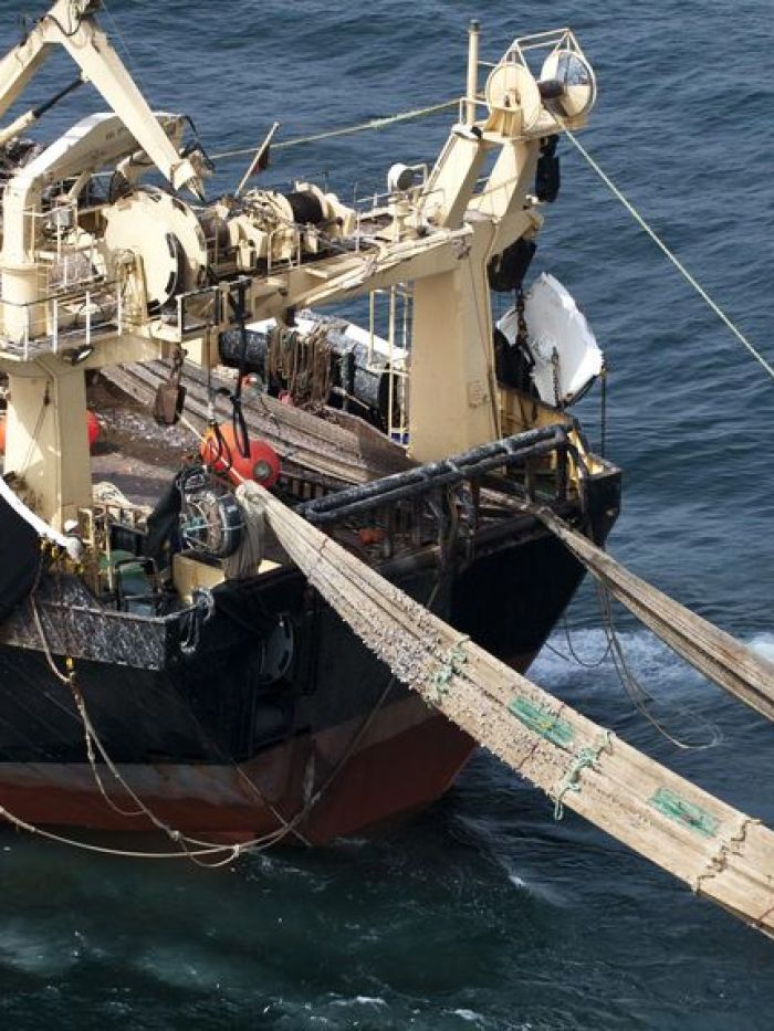 Super trawler pledges to 'move on' - ABC News