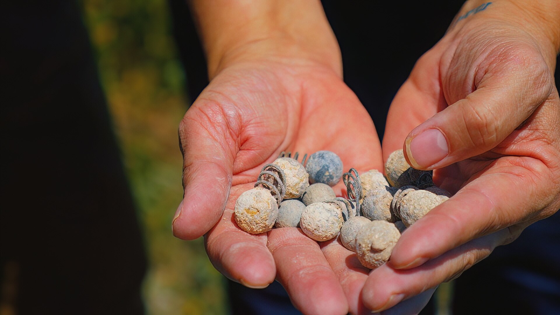Musket 'bolo' balls buried in sand for 366 years discovered on WA beach ...