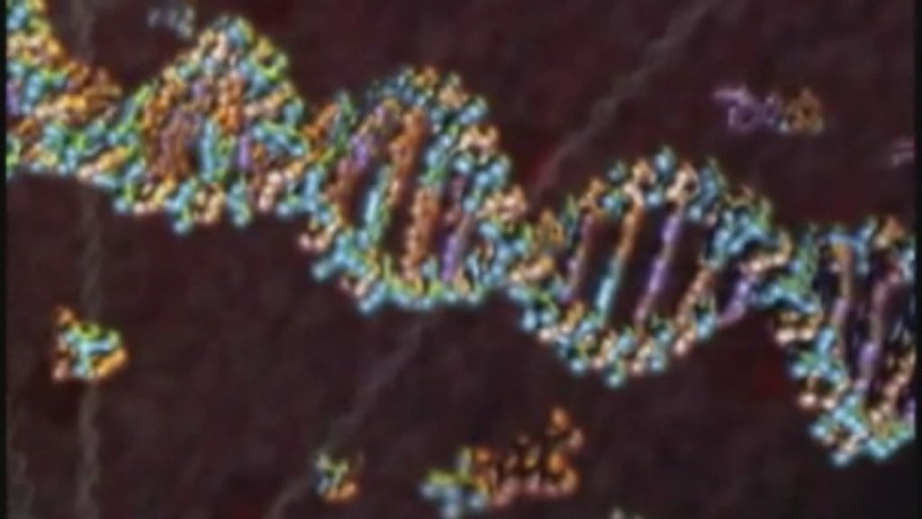 Understanding Australia's New DNA Database - ABC listen