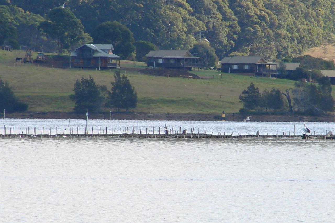 Narooma Oyster Festival - ABC News