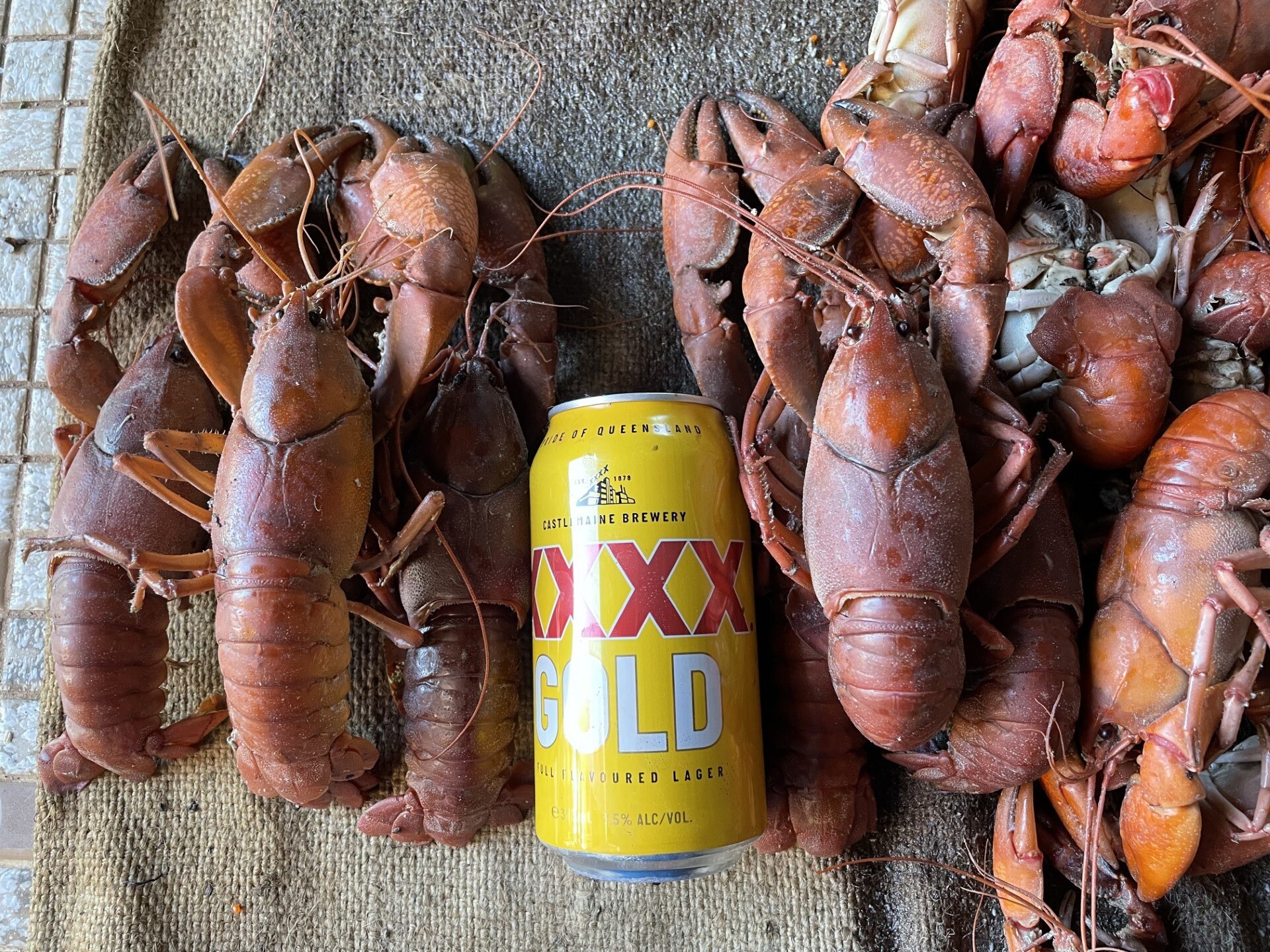 Yabbying still elicits a sense of nostalgia in landlocked Aussies eager ...