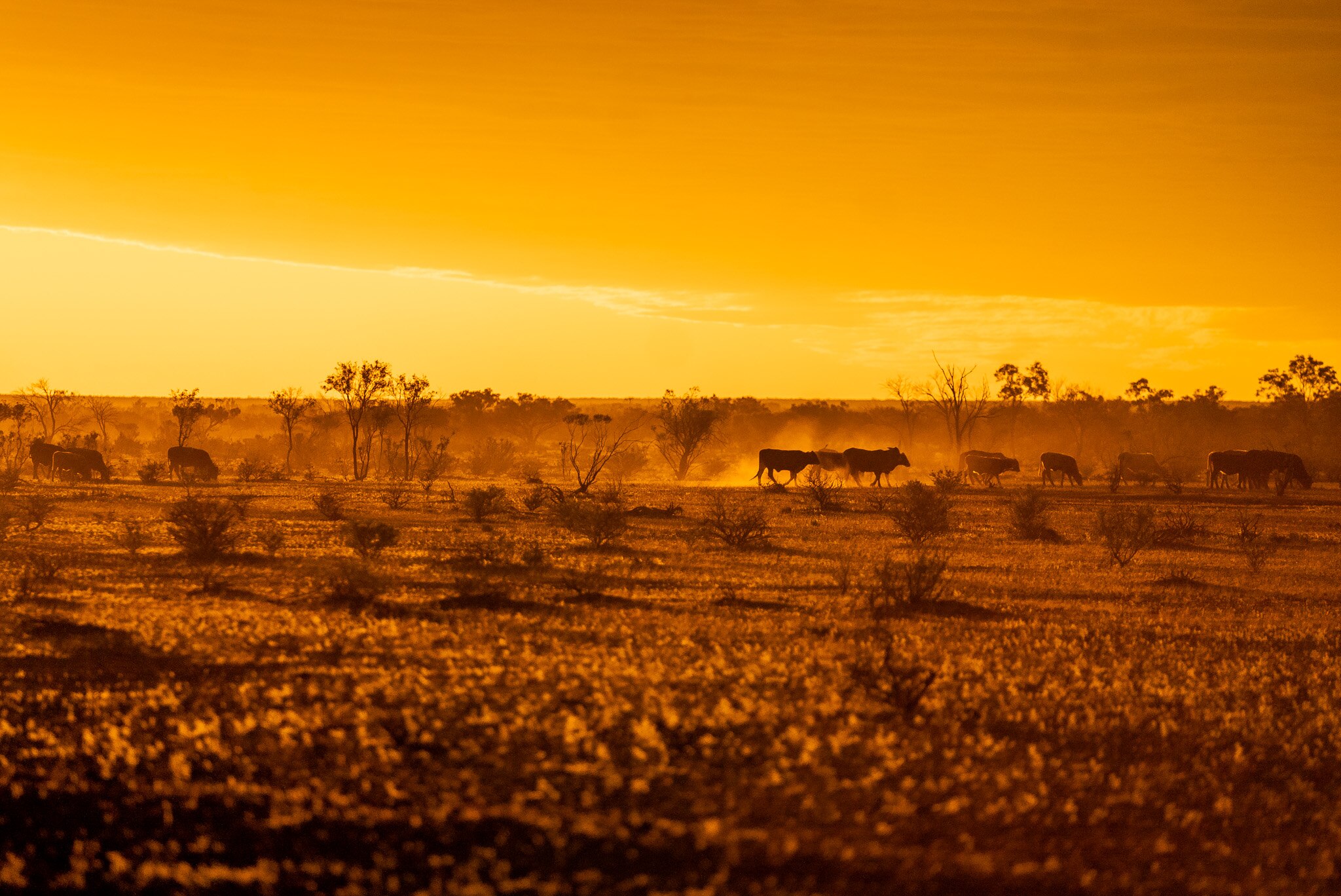 Outback Qld communities rebuilding five months after devastating floods ...