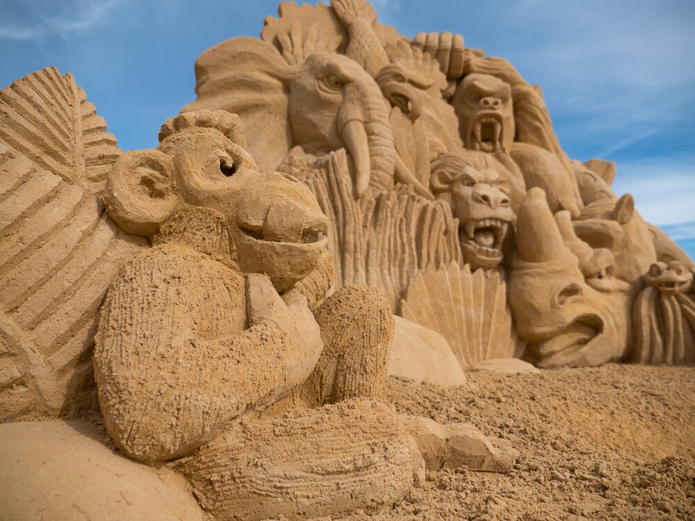 Sculptors raise zoo animals from sand at Port Noarlunga for school ...