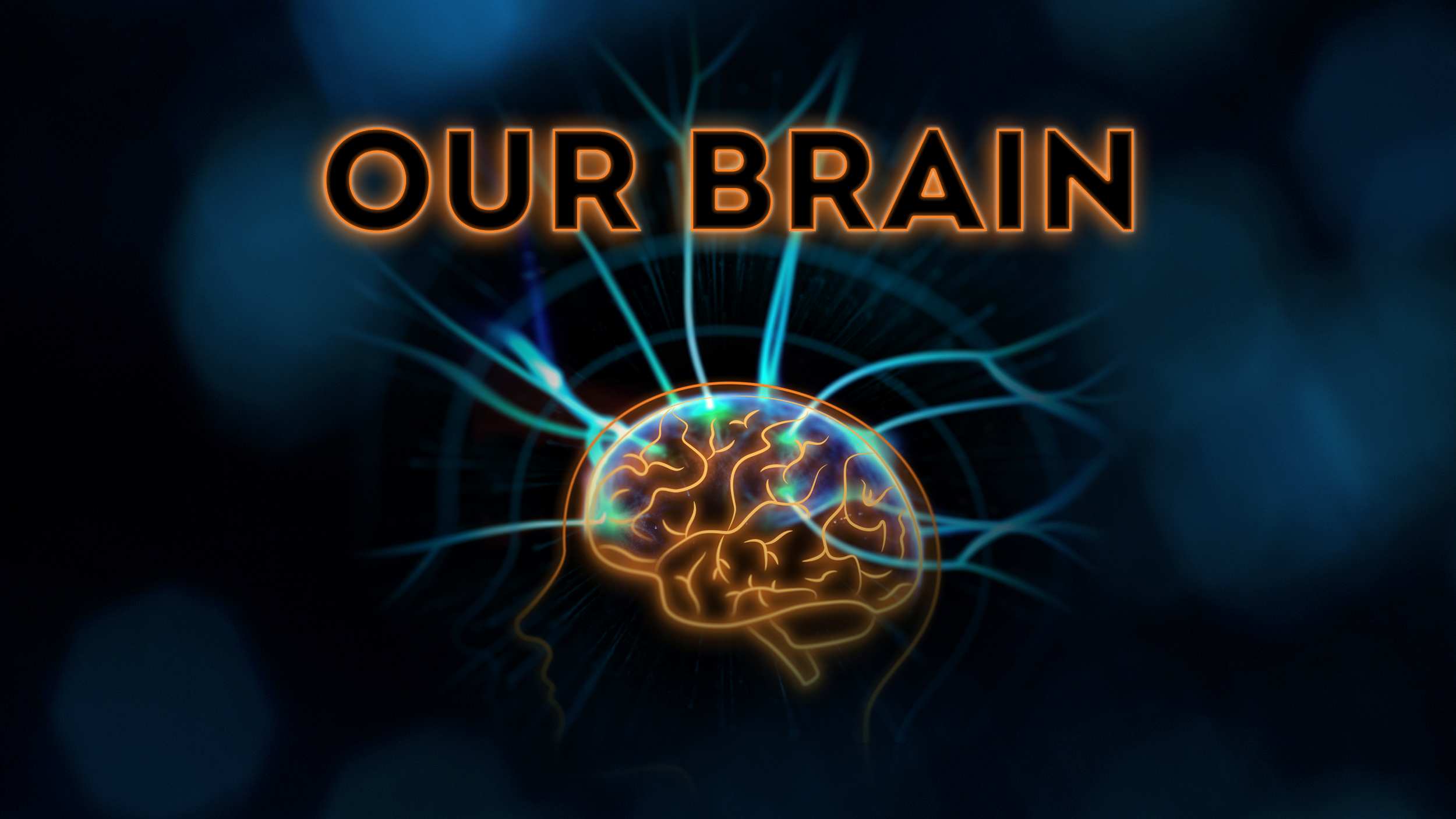 Our Brain - ABC Content Sales