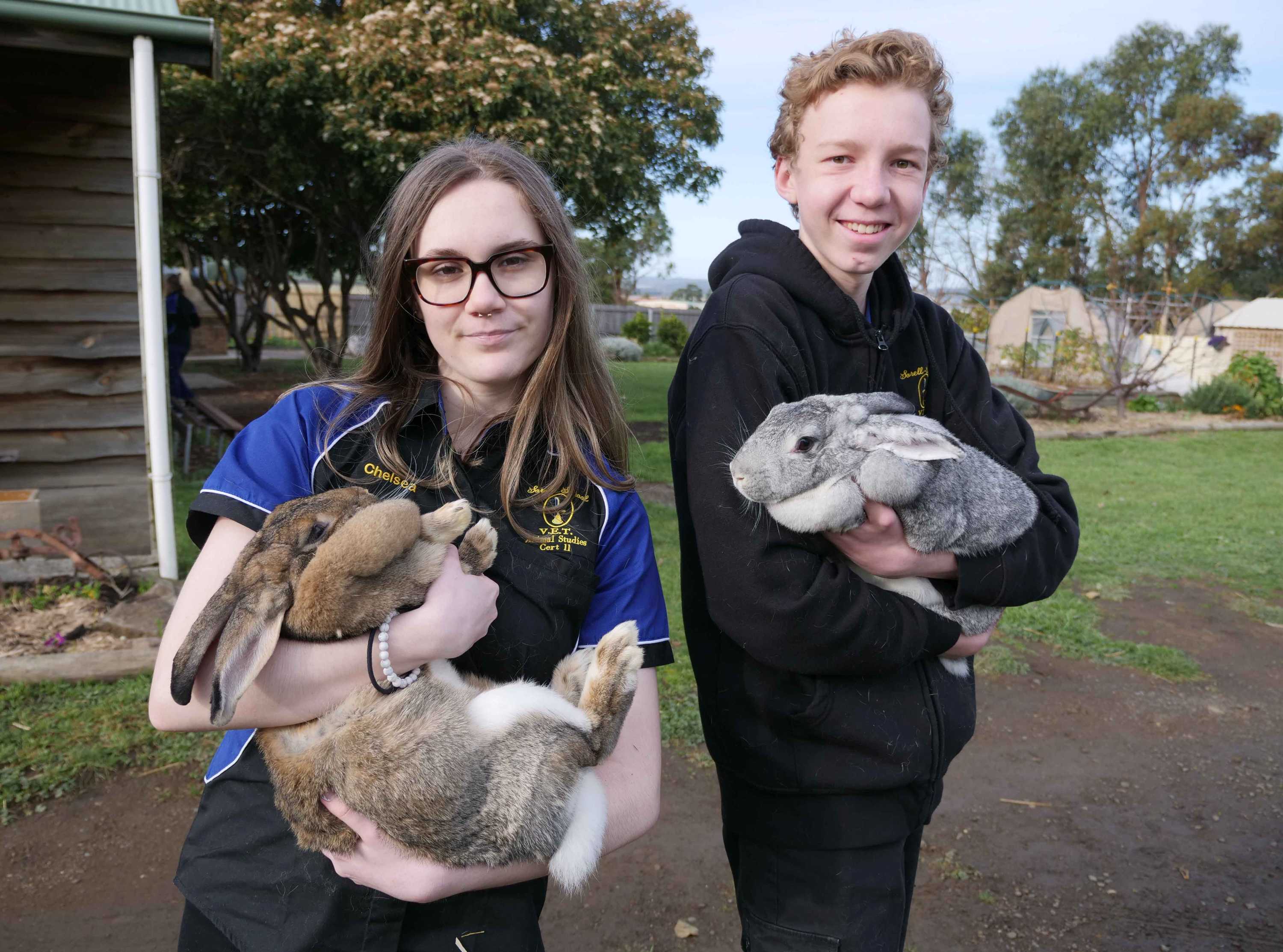 Sorell in Tasmania is 200 years old, now the once-tiny town wants to be ...