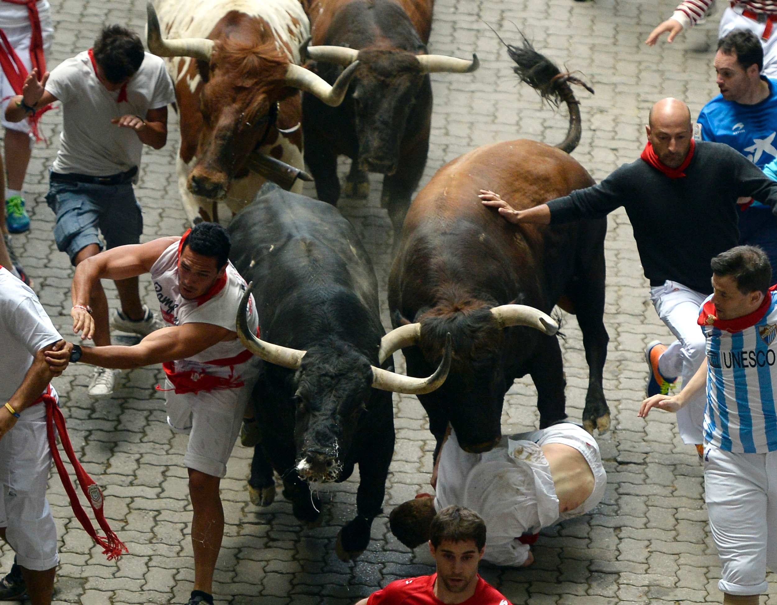 Animal rights groups protest against 'cruel, violent and bloody ...