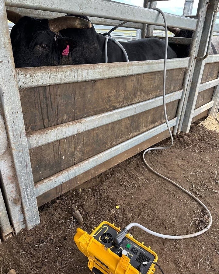 Popularity of Yellowstone drama series attributed to growing interest ...