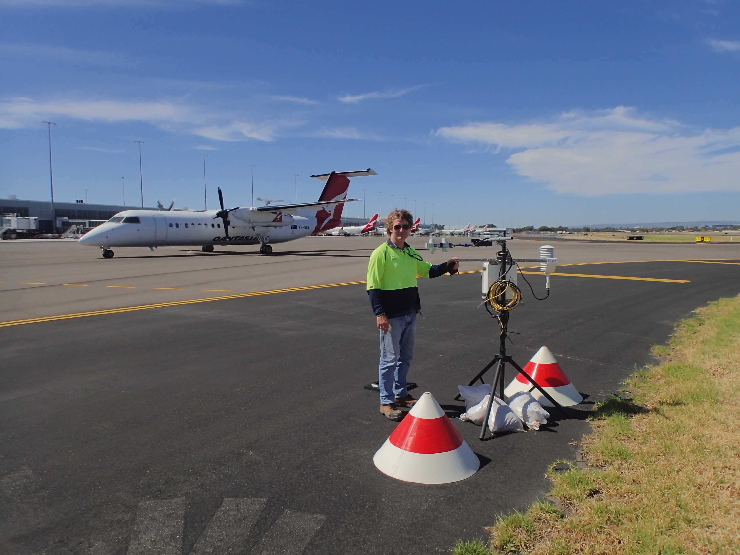 Lucerne hay grown near Adelaide Airport runway helps aircraft take off ...