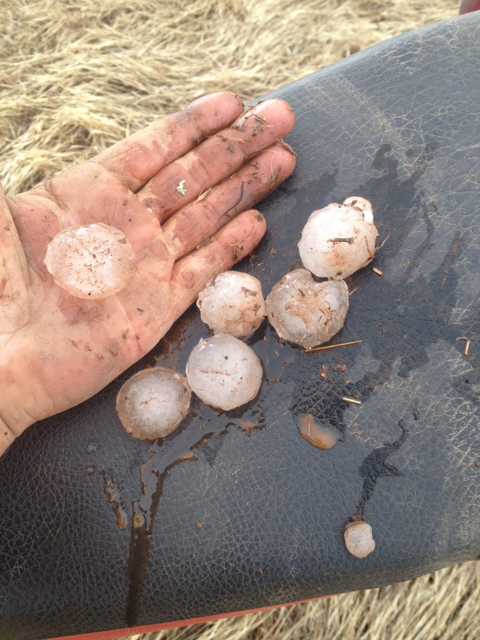 Caroline Winter - ABC News