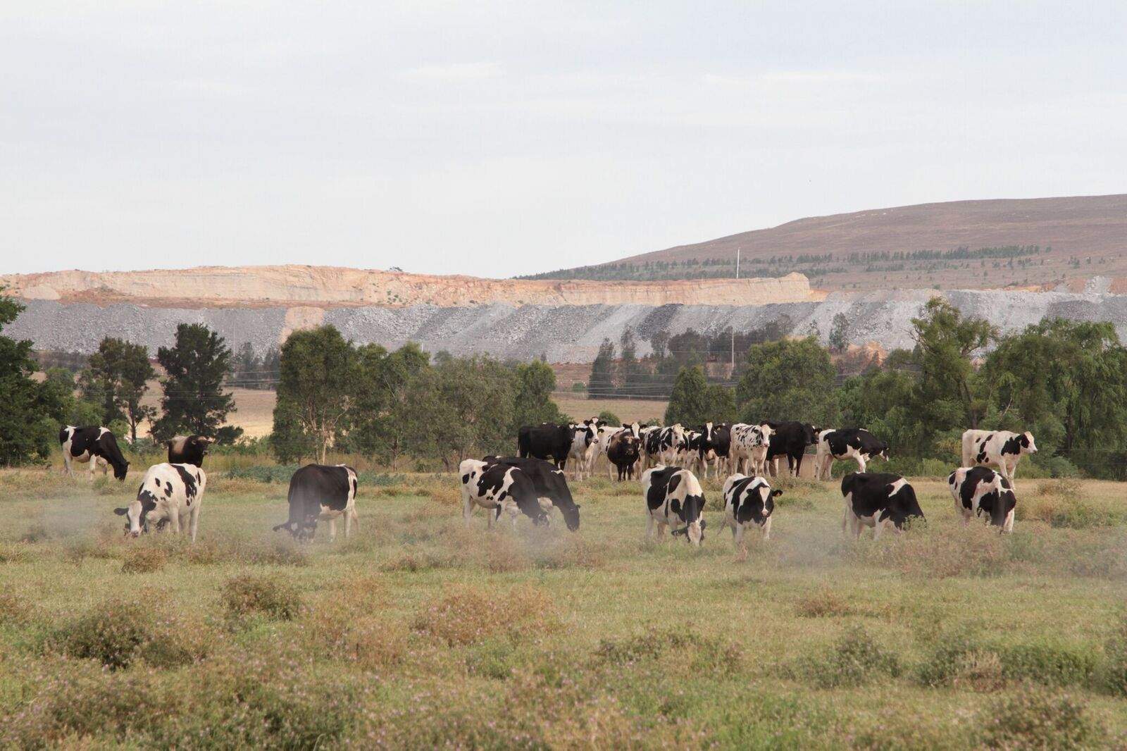 Mining the farm: How miners turned to agriculture in the Hunter Valley ...