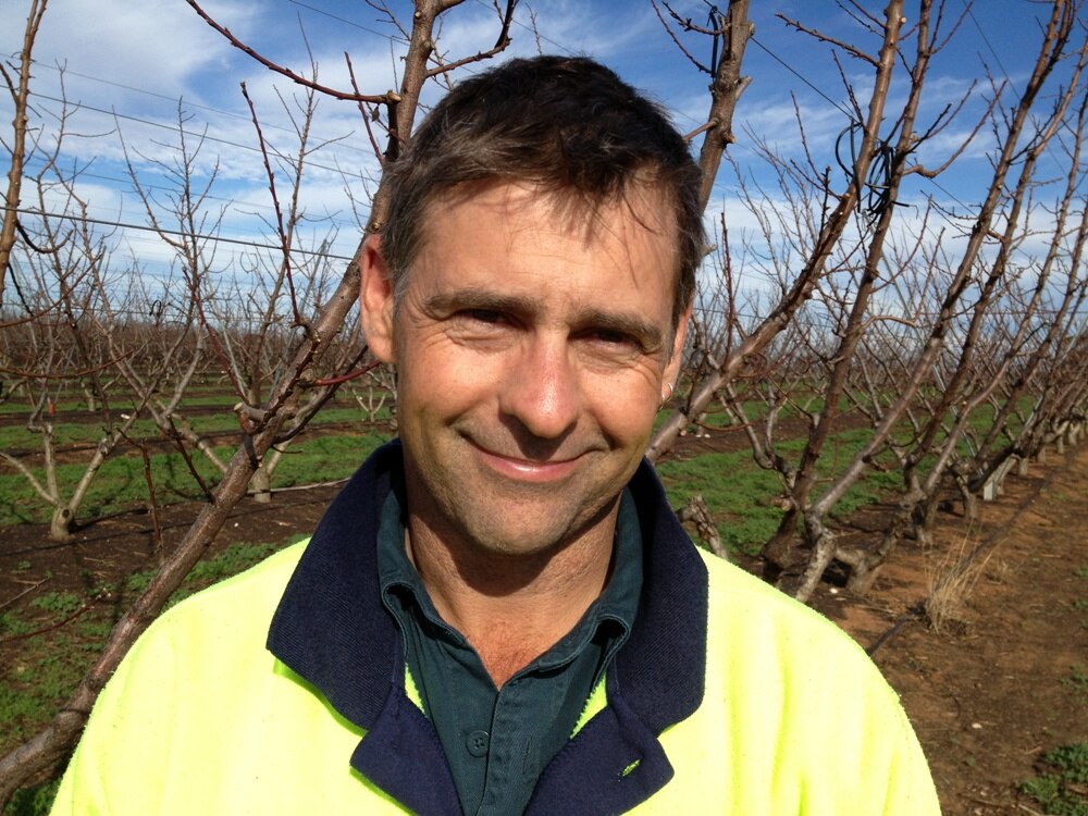 Farmer reflects on global ag policy settings - ABC News