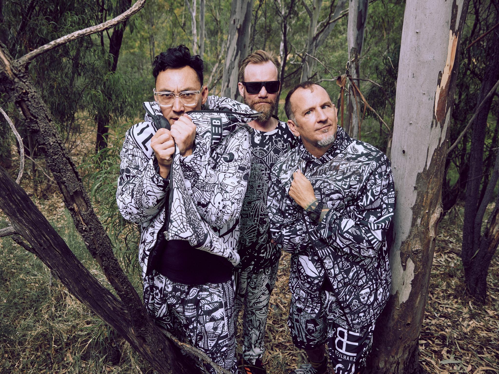 Regurgitator hits the sweet spot with their 10th album 'Invader’ - ABC ...