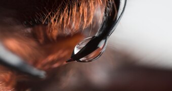 Funnel-web spider venom may one day help save the lives of heart ...