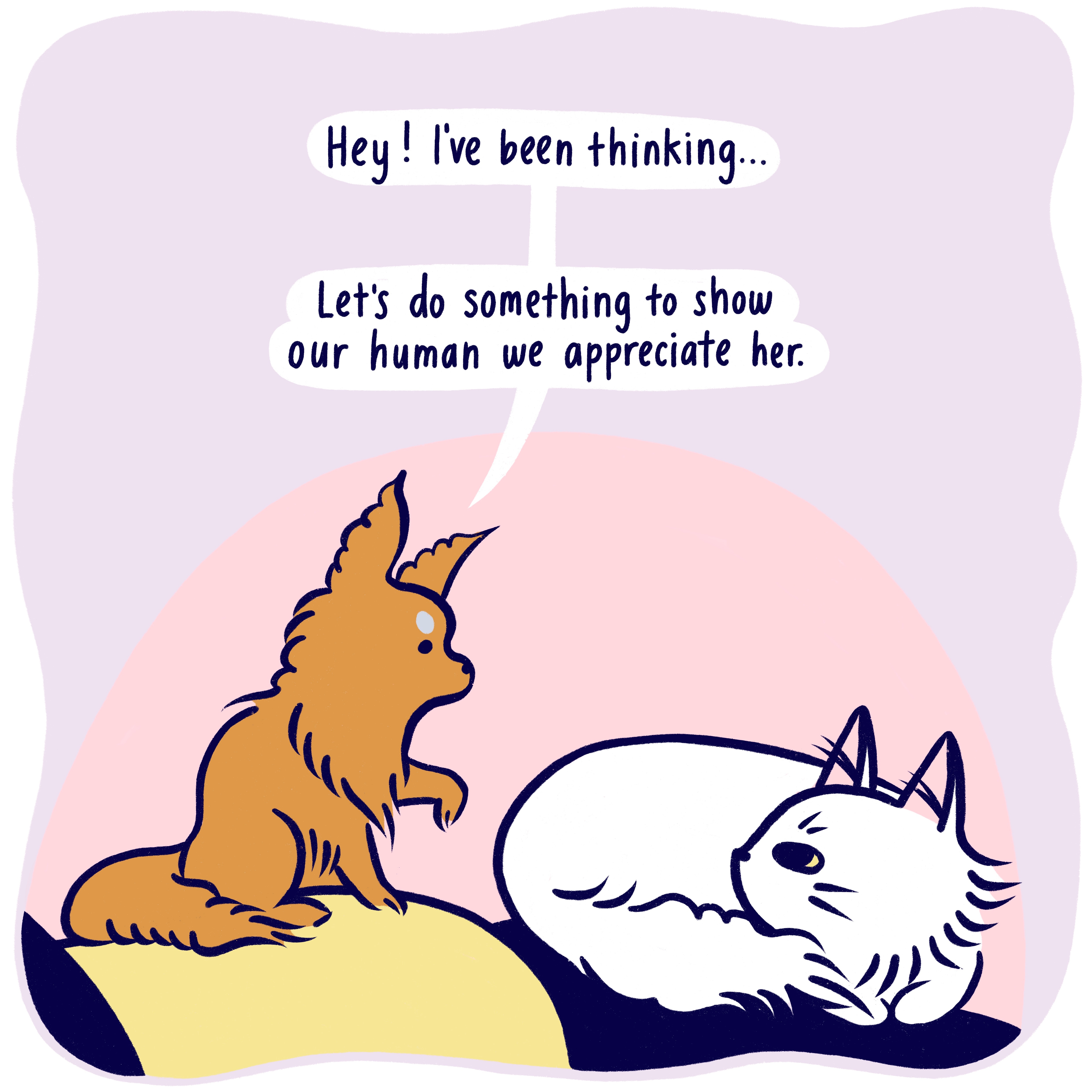 Conversations with Animals: Love languages - ABC Everyday