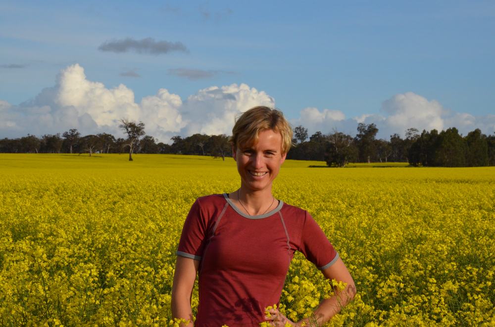 Study finds Western Australian grain growers overwhelmingly support ...