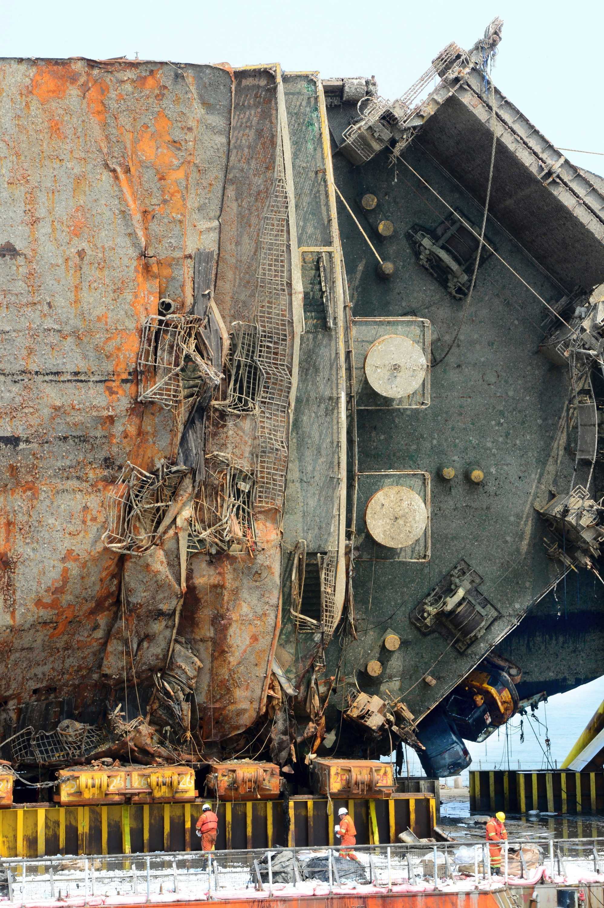 Bones found near South Korea's Sewol ferry wreckage were from animals ...