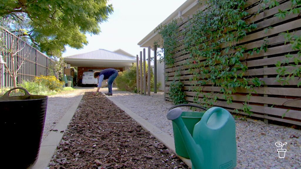 Groundwork - Gardening Australia