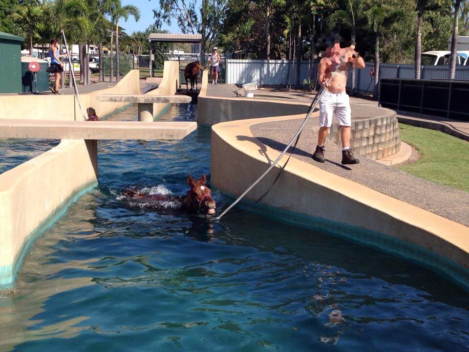Trainer Stuart Gower banned for two years, stripped of Darwin Cup win ...