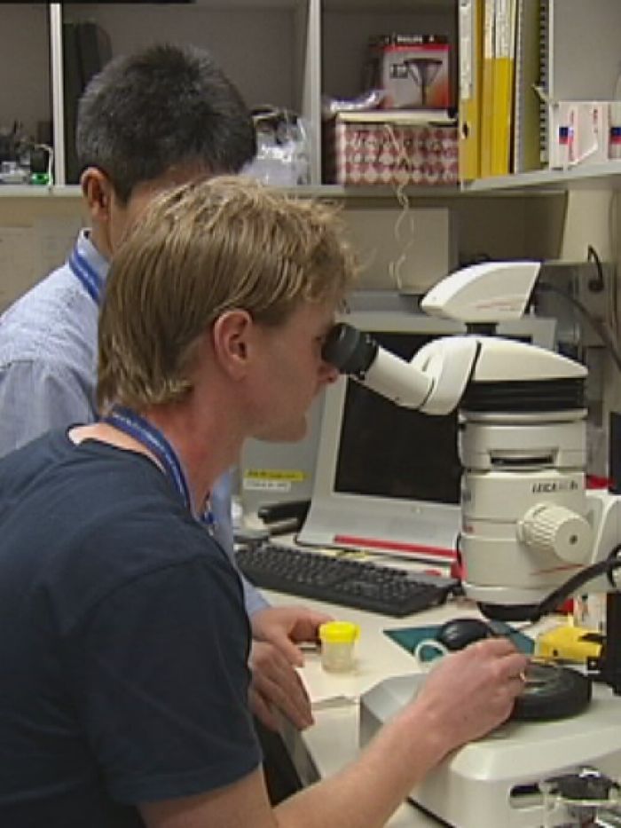 Confusion about how CSIRO cuts will affect science hub in Hobart - ABC listen