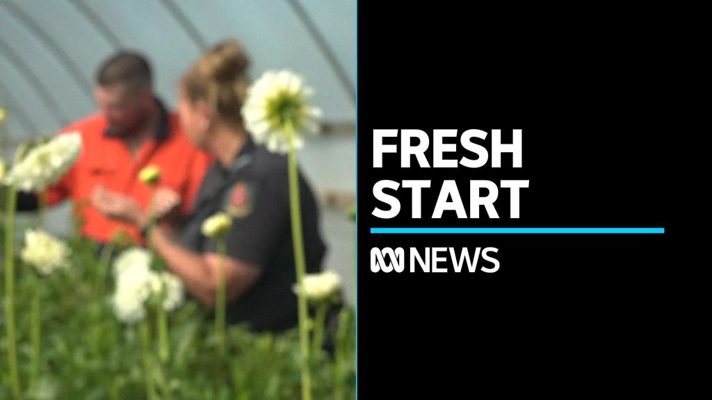 Ag program helps to rehabilitate regional prisoners - ABC News