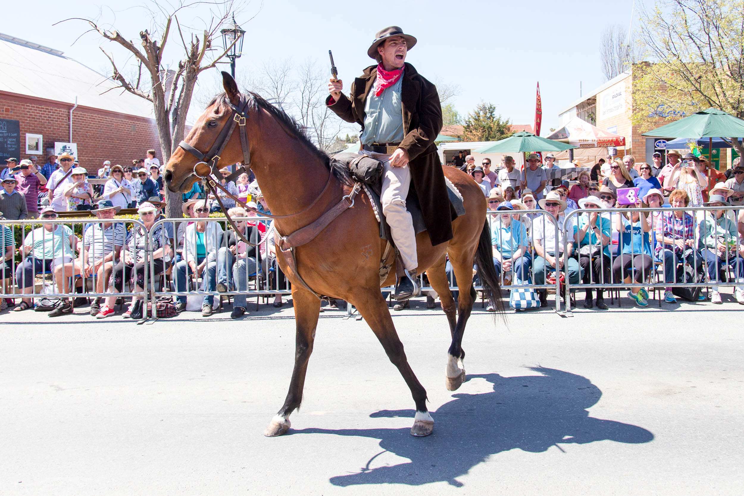Mel Bush unearths some obscure Tasmanian bushrangers - ABC listen