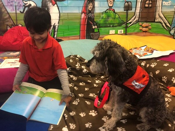 Story dogs help kids with reading - ABC listen